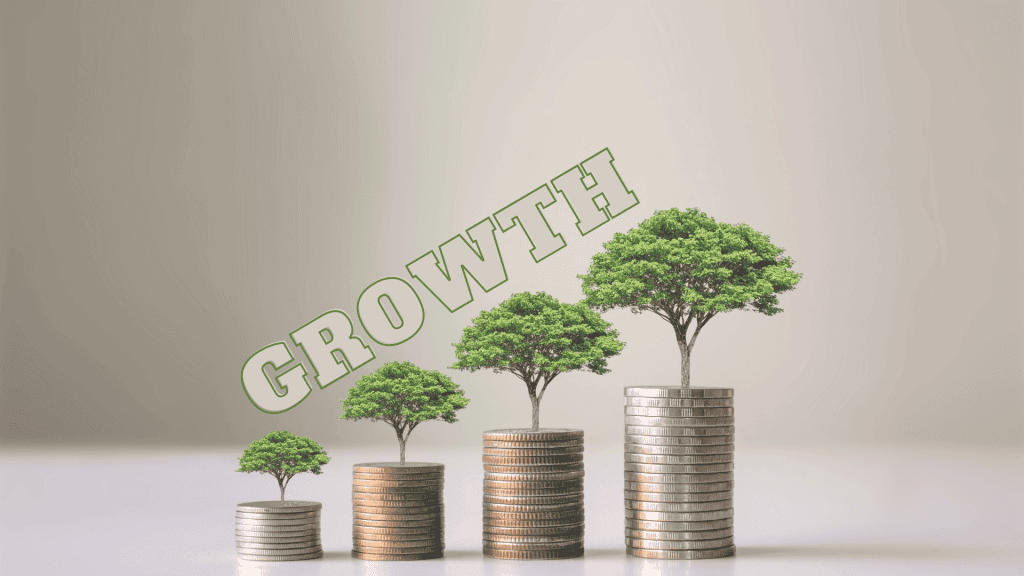 Budgeting, Investing, and Planning for Growth